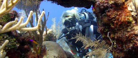 Diving in Bequia - Cassava House Bequia